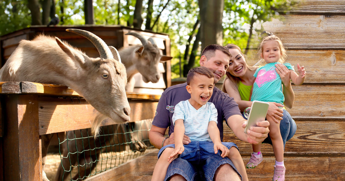 Ticketing Software for Farm Parks | DigiTickets Ticketing System