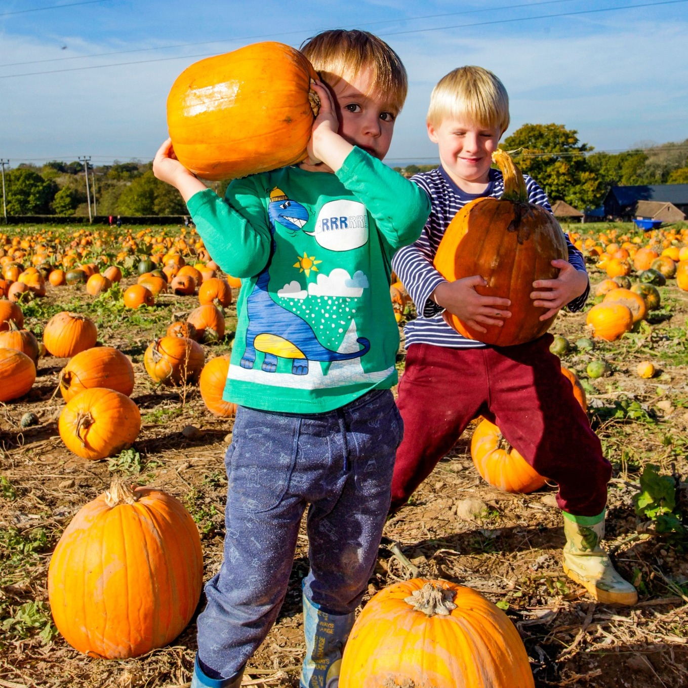 Discover how Tulleys Farm became one of the UK's leading attractions